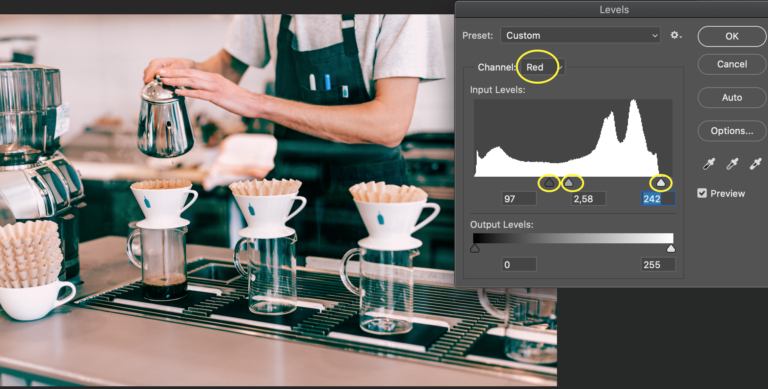 Levels – Guide for Digital Design